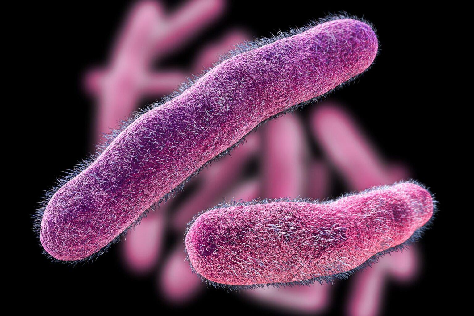 What Is Drug-Resistant Shigella Bacteria? How Does It Impact Travel Plans?