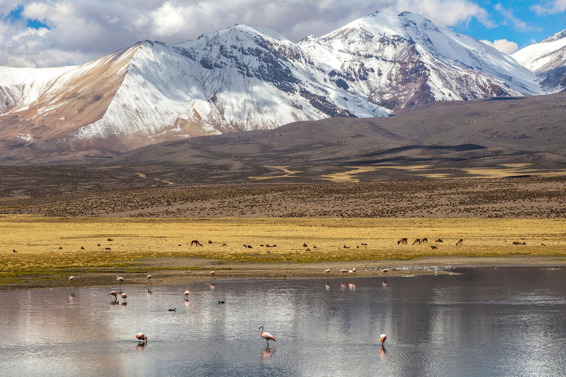 The 25 Best Things to Do in Chile