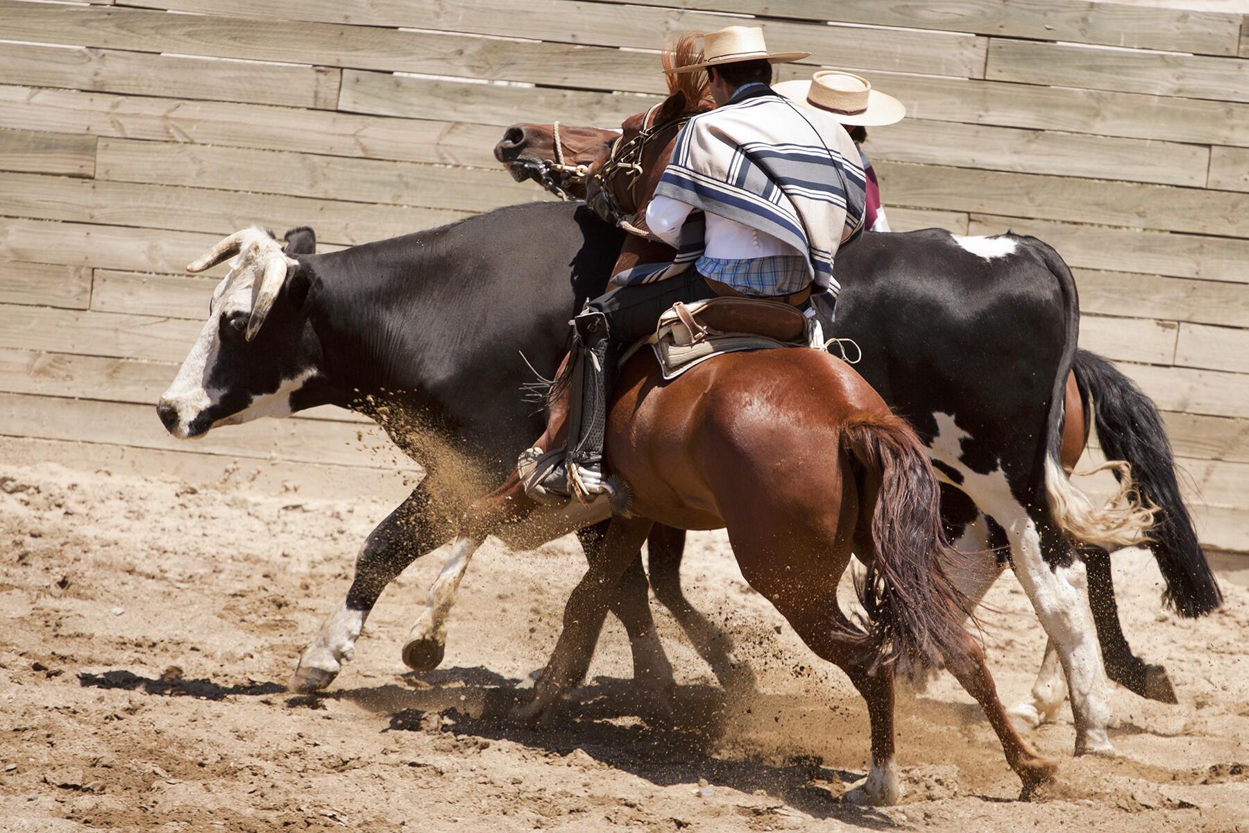 The 25 Best Things to Do in Chile