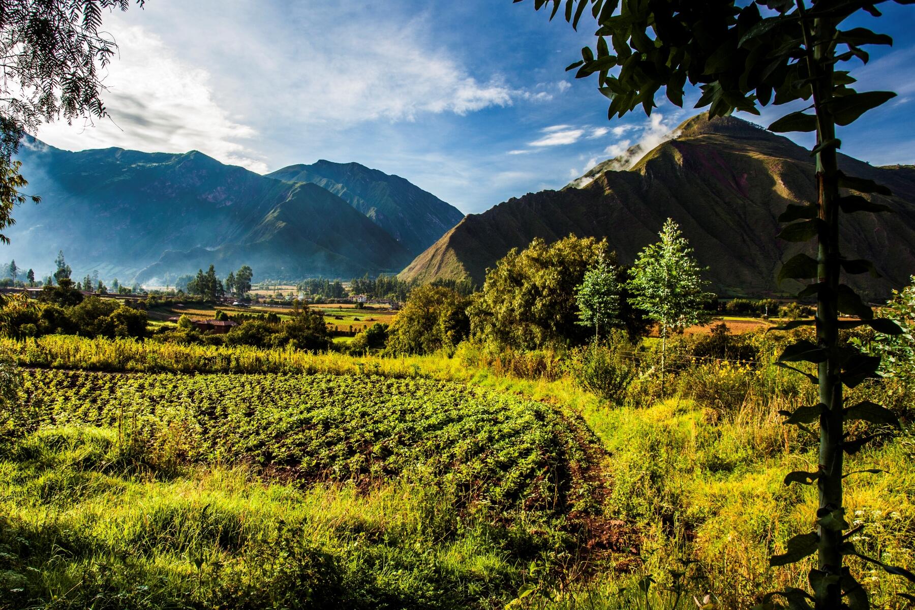 Visit Machu Picchu in 2023 for Fewer Crowds