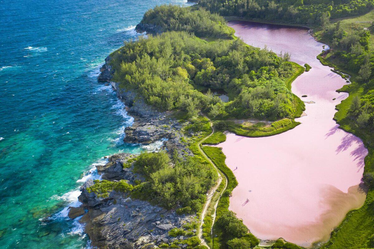 Why Are Bermuda's Beaches Pink?