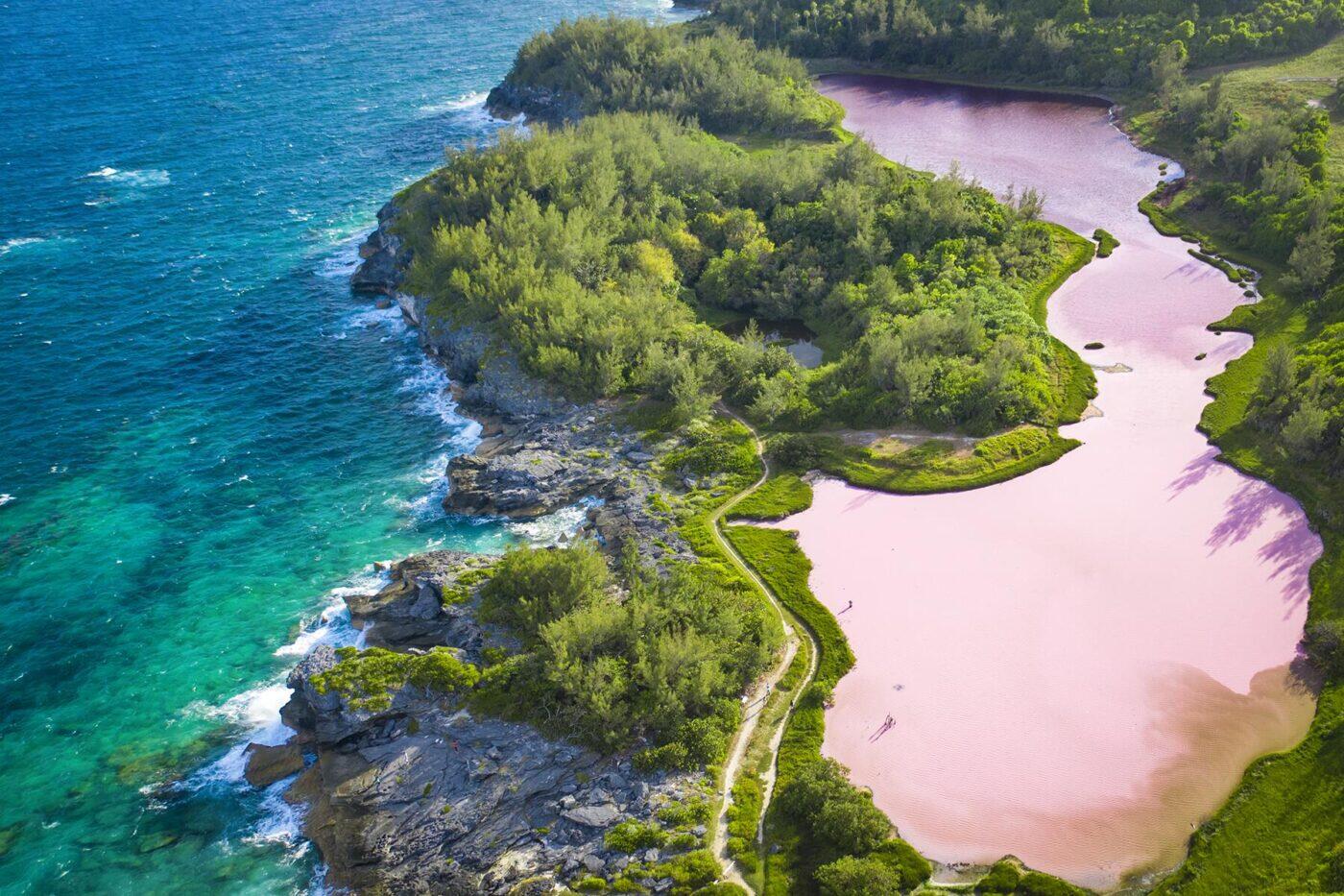 Why Are Bermuda's Beaches Pink?