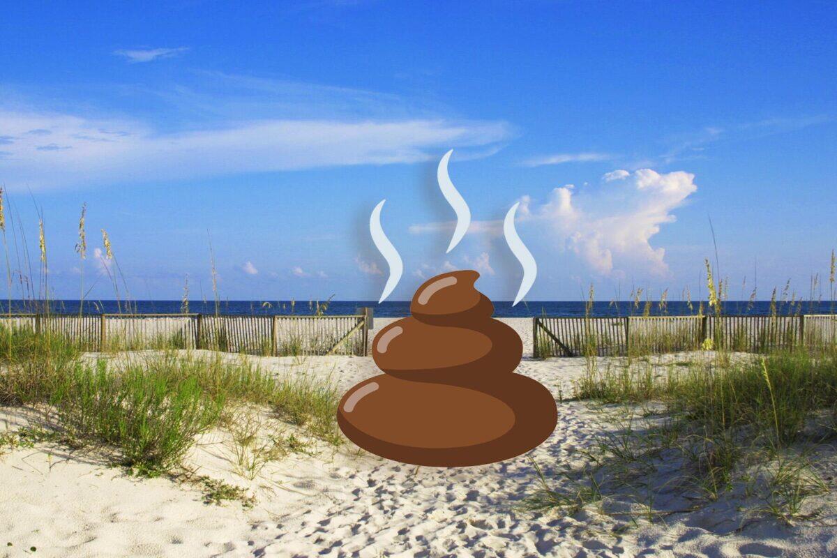 Half of U.S. Beaches Are Contaminated With Poop