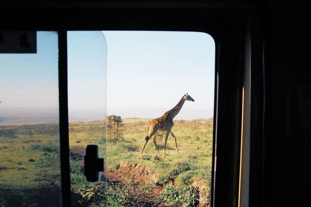 Fodors Travel Guide – Plan Your Trip Online