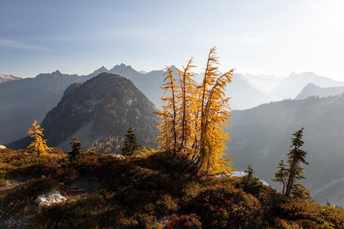 Visit the Pacific Northwest.for Fall
