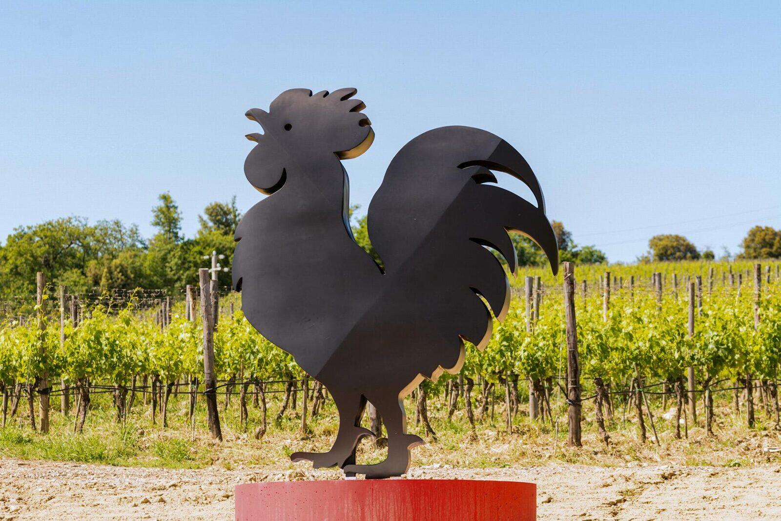 Why Is the Black Rooster the Symbol for Chianti Wine?