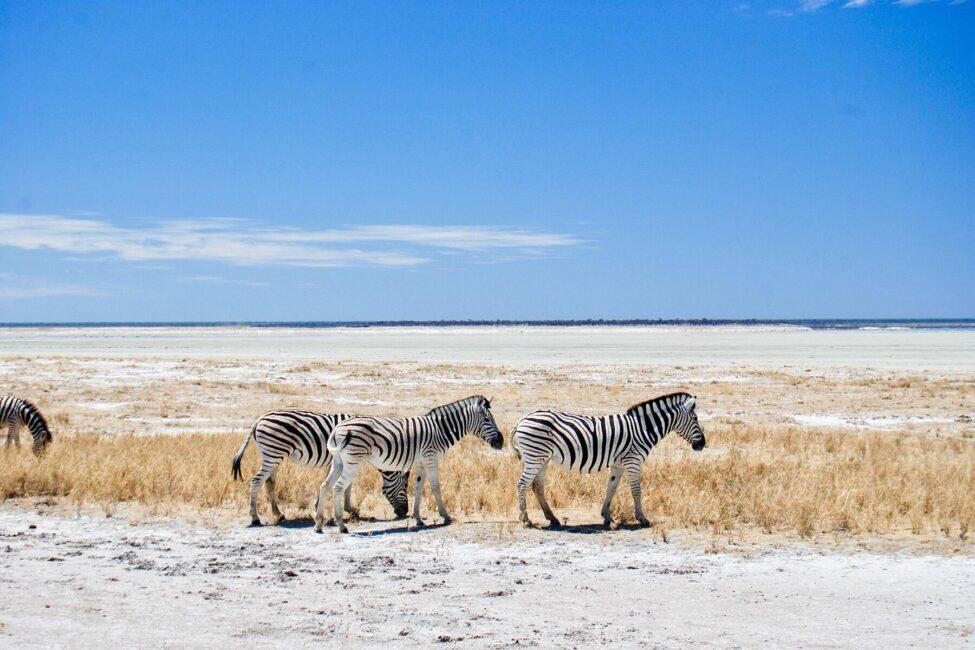 Two Weeks That Will Change You: The Ultimate Desert Road Trip Through ...