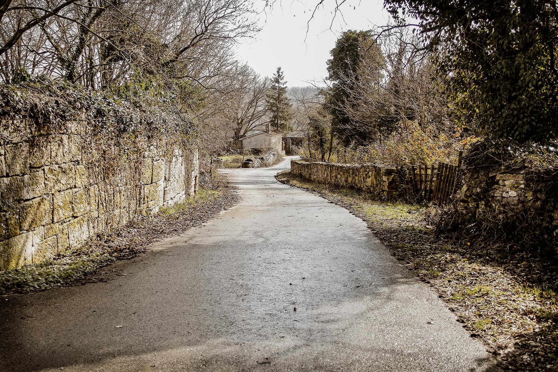 Real Places Where Vampires Might Exist