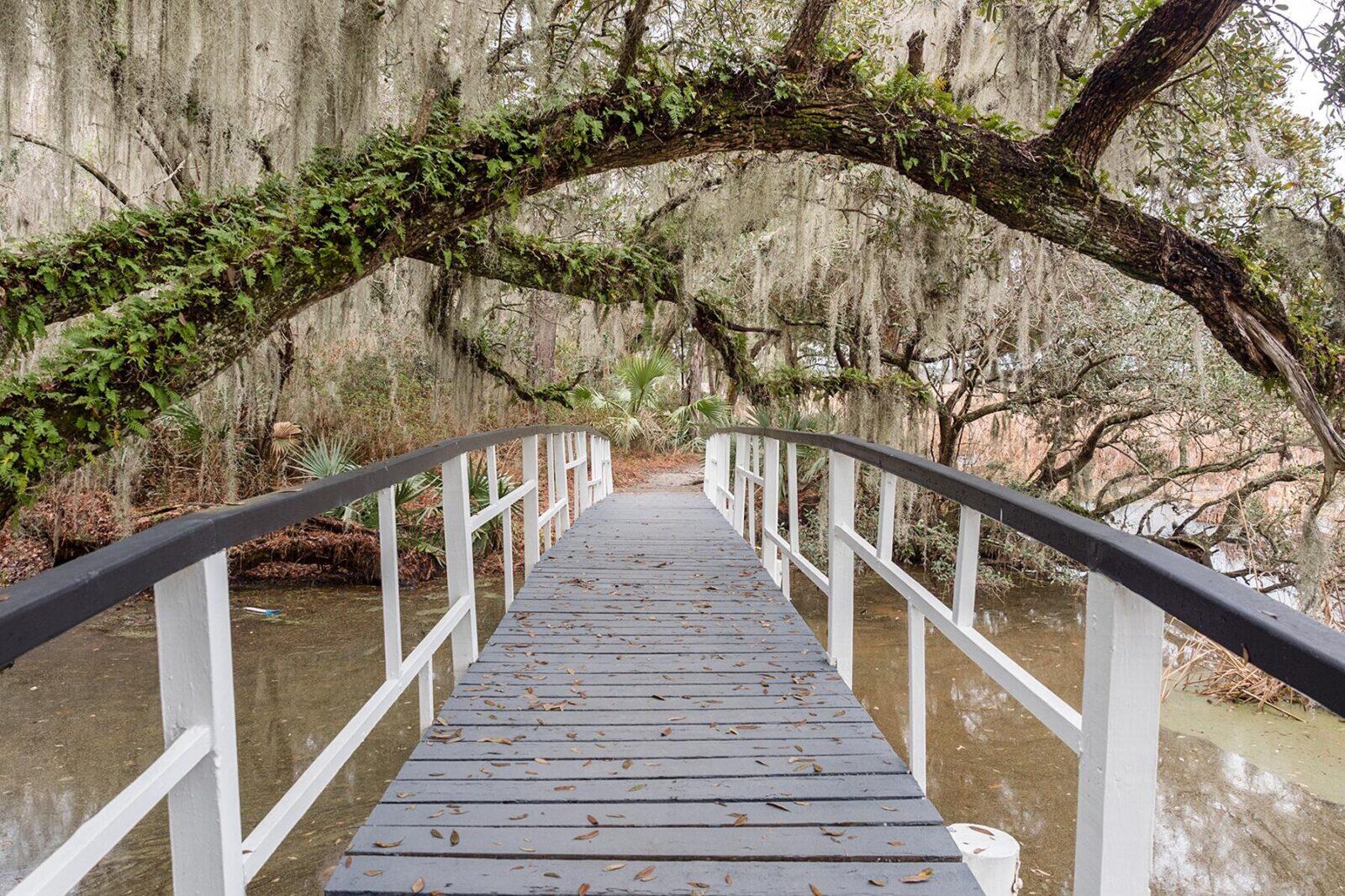 When Is the Best Time to Visit Charleston?