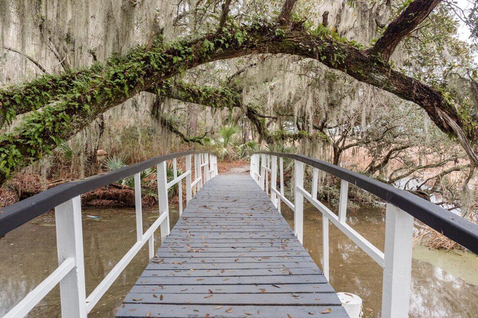 When Is the Best Time to Visit Charleston?