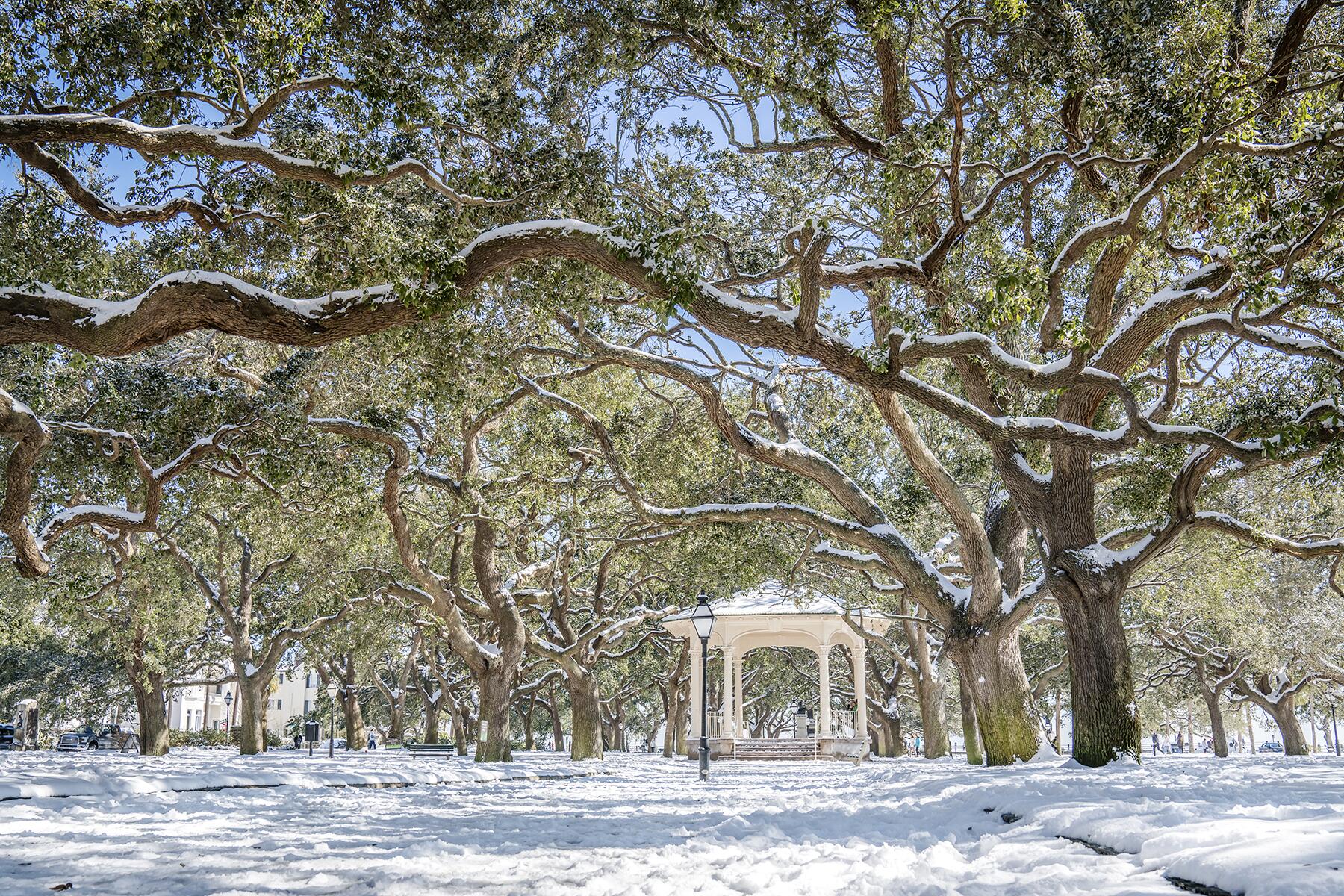When Is the Best Time to Visit Charleston?