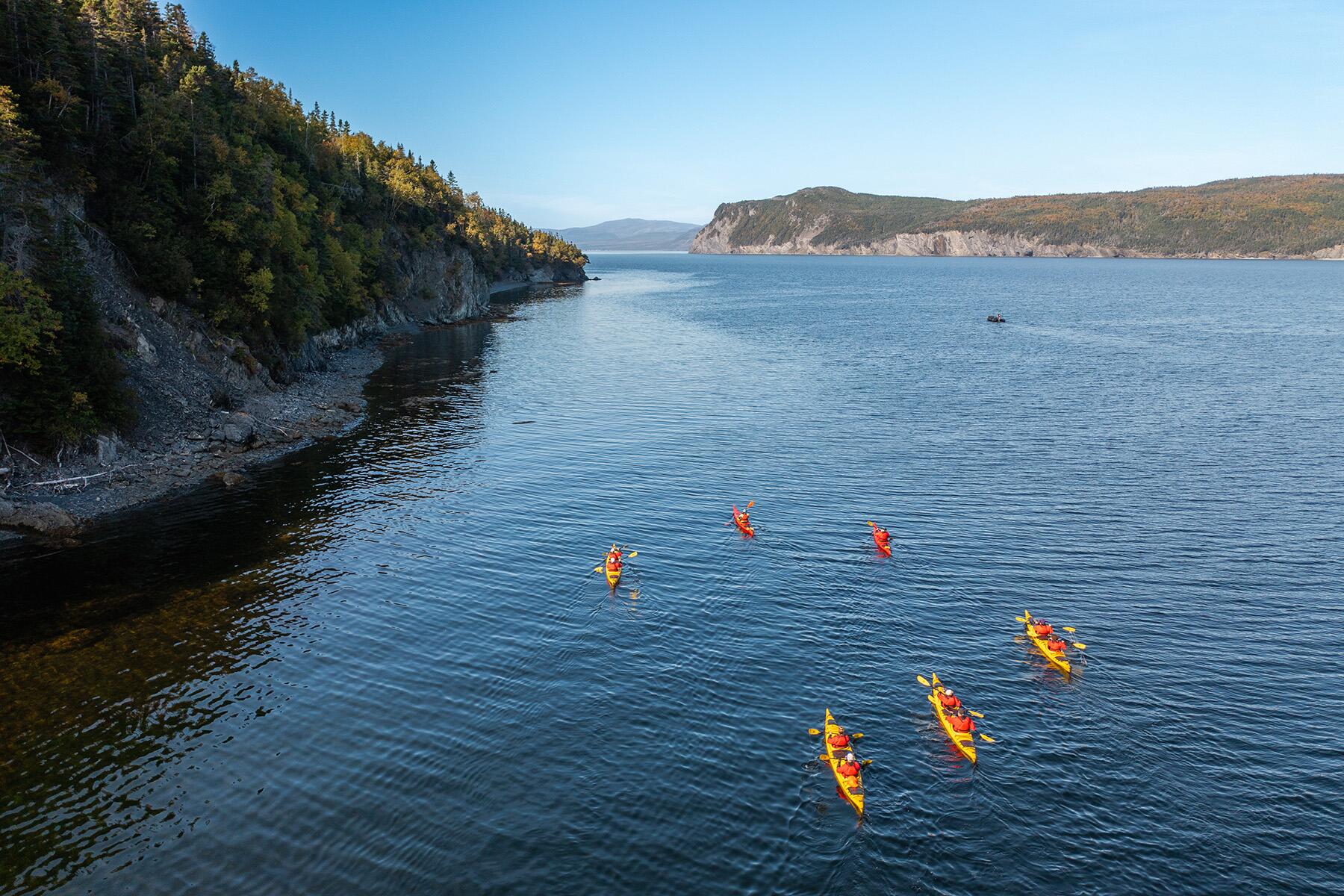 Could This Be the Most Environmentally Sustainable Way to Visit ...