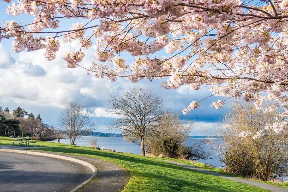The Best Time of Year to Visit Seattle for Weather