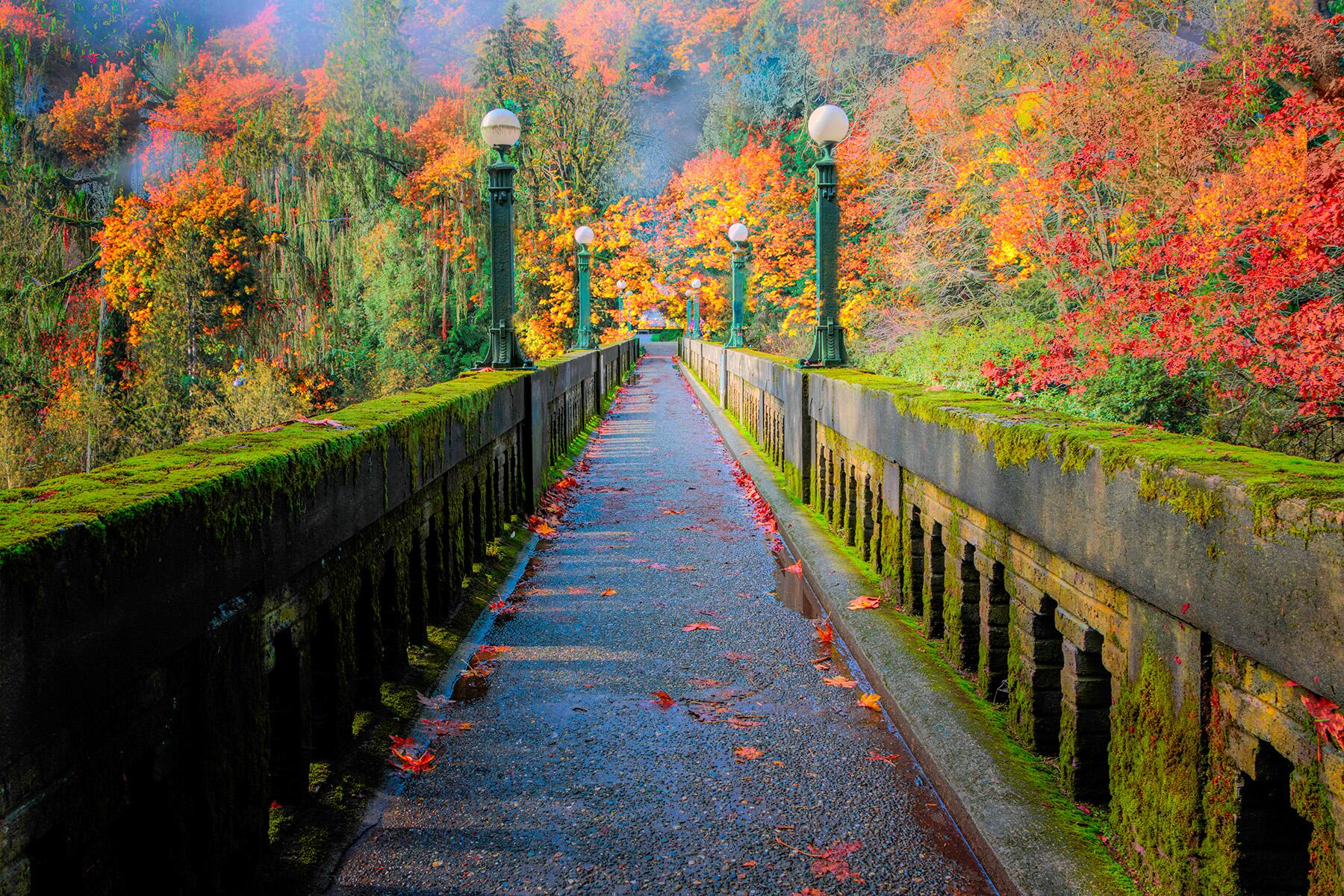 The Best Time of Year to Visit Seattle for Weather