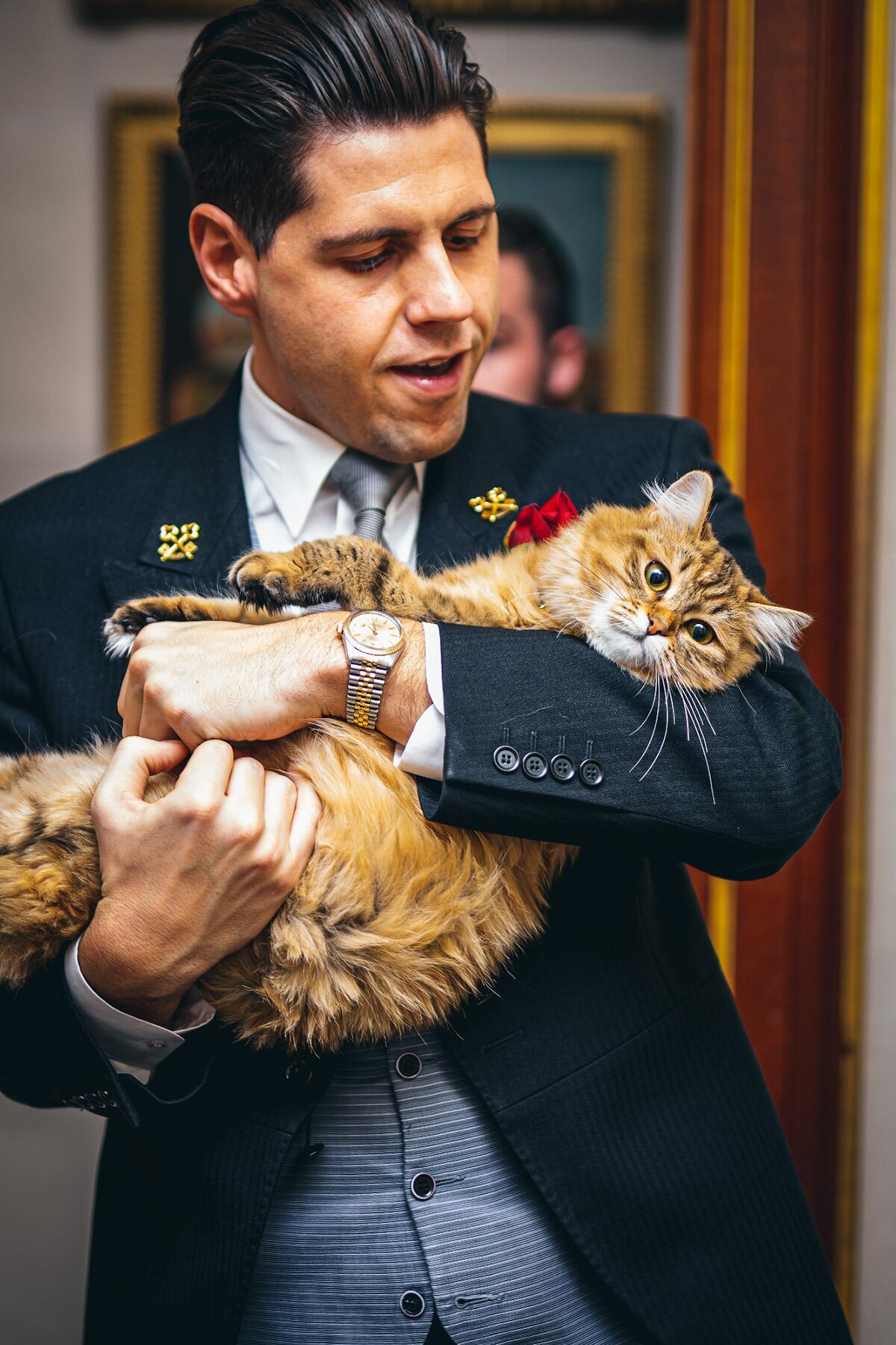 The Lavish World of The Lanesborough Hotel’s Resident Cat