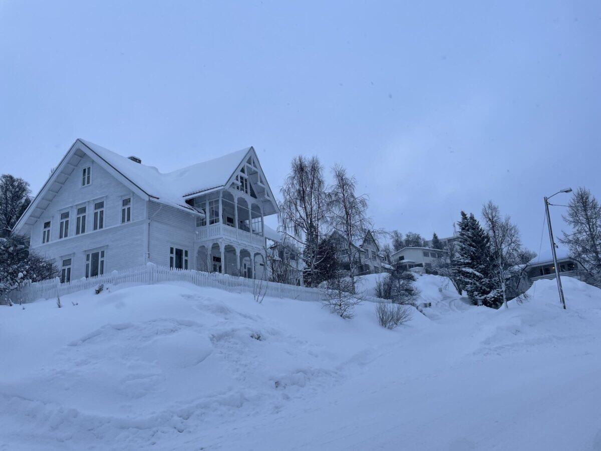 Don't Be Afraid to Take a Hurtigruten Cruise Through Frozen Norway to ...