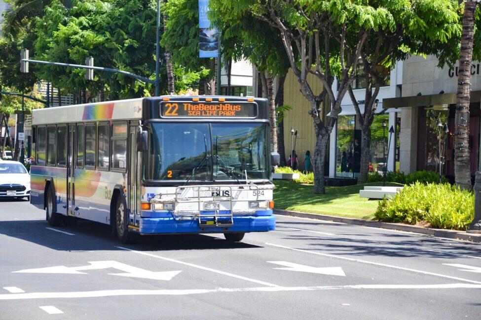 How to Use Public Transportation in Honolulu, Hawaii