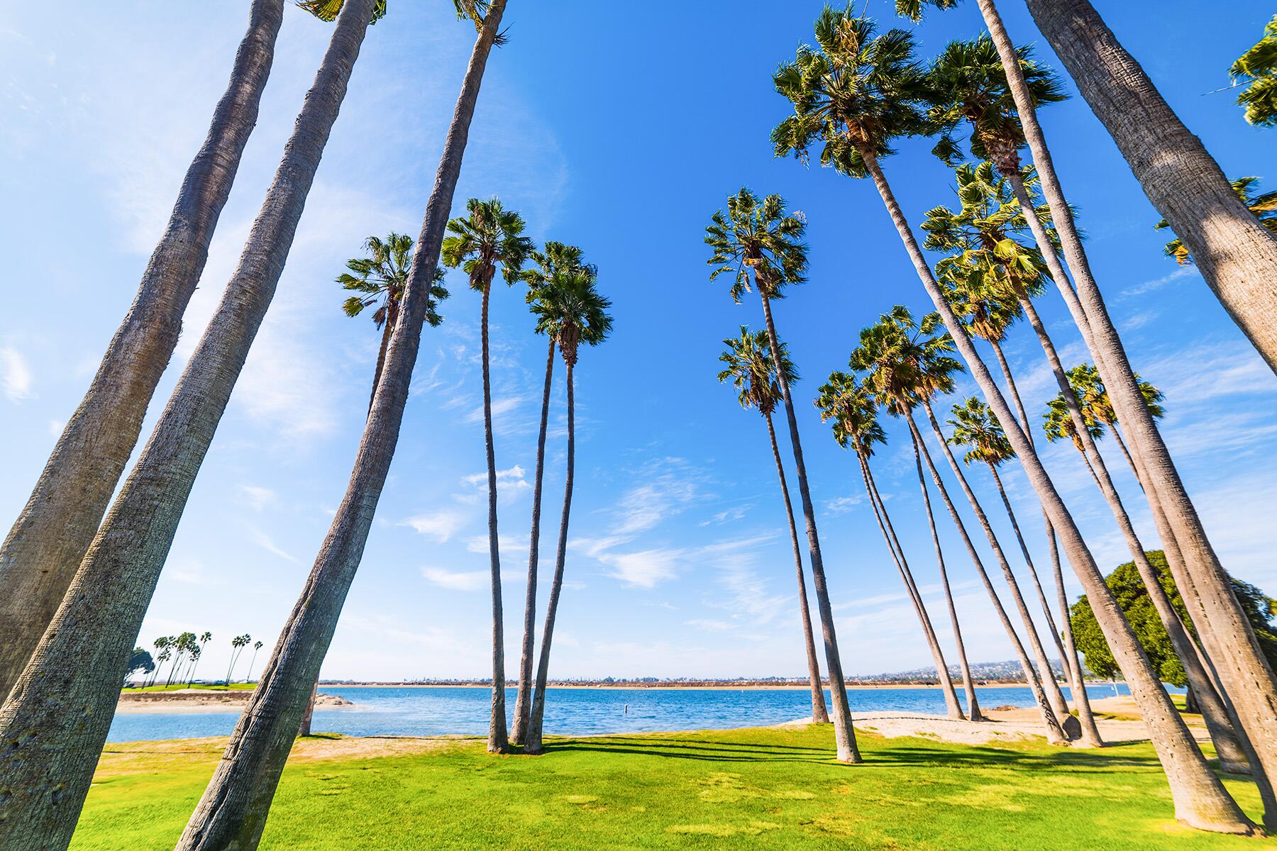 When Is the Best Time to Visit San Diego, California?
