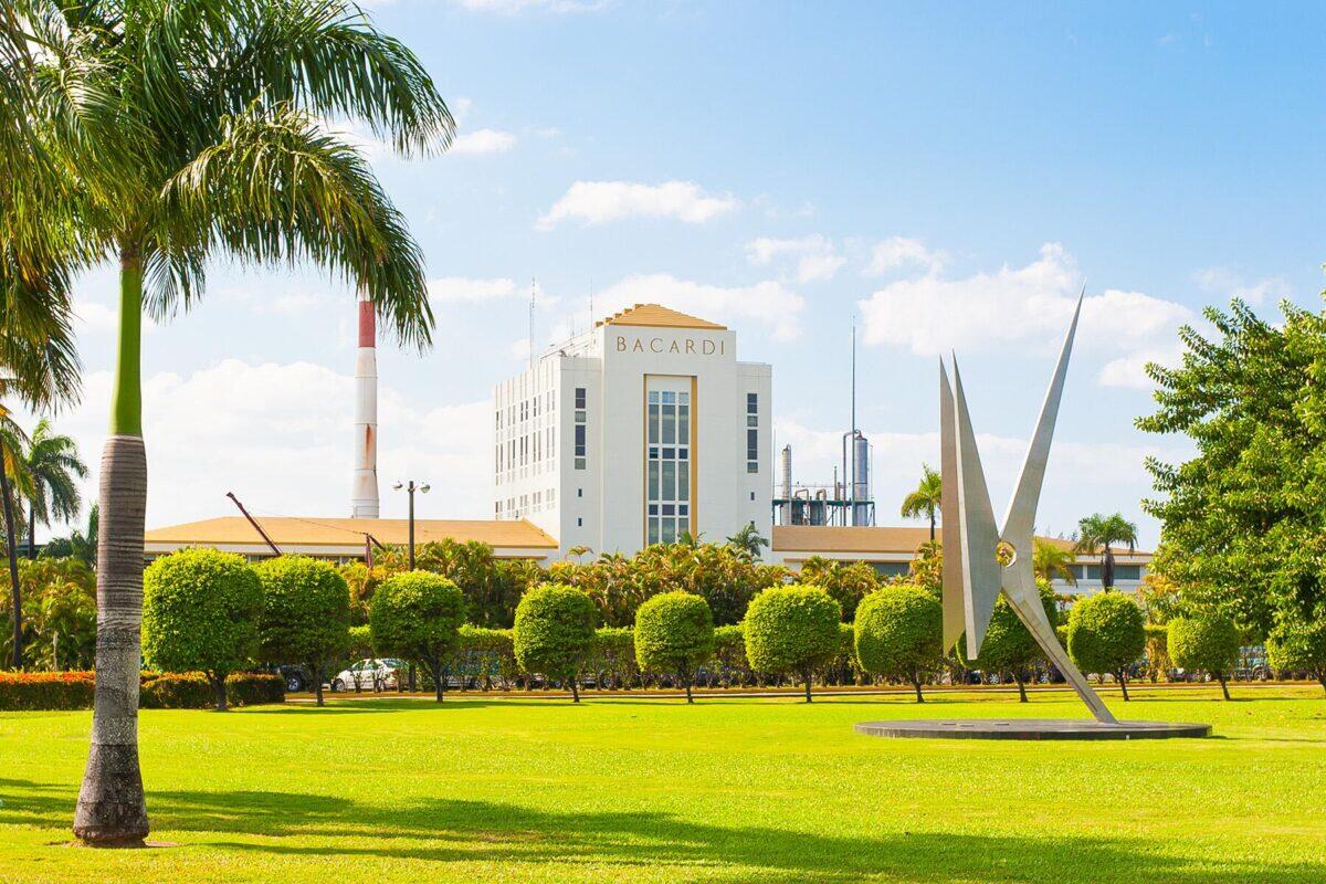 Best Itinerary for the Puerto Rico Rum Trail