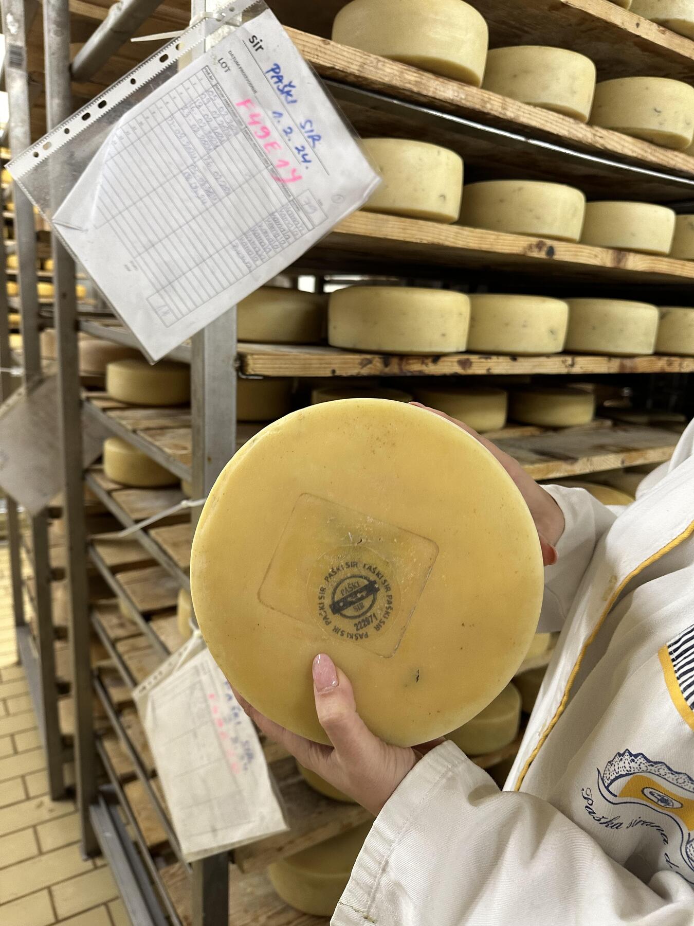 Why the Best Cheese in Europe Comes from Croatia