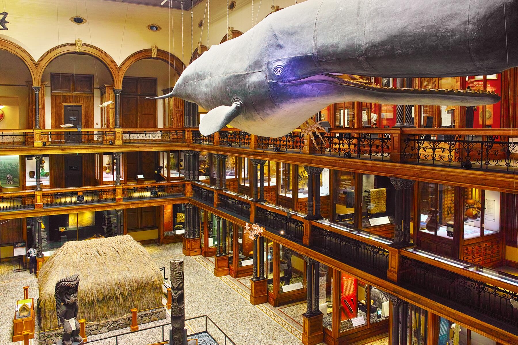 A Guide to Visiting Hawaii Responsibly and Ethically