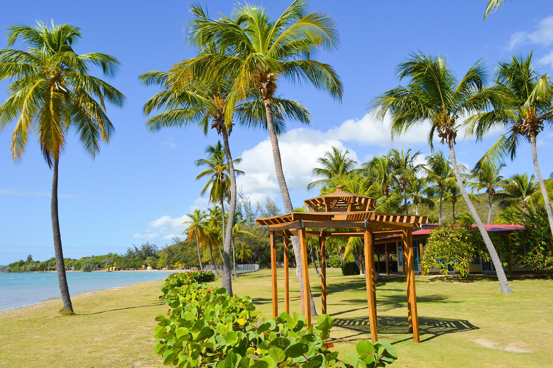 Best Piña Coladas in Puerto Rico