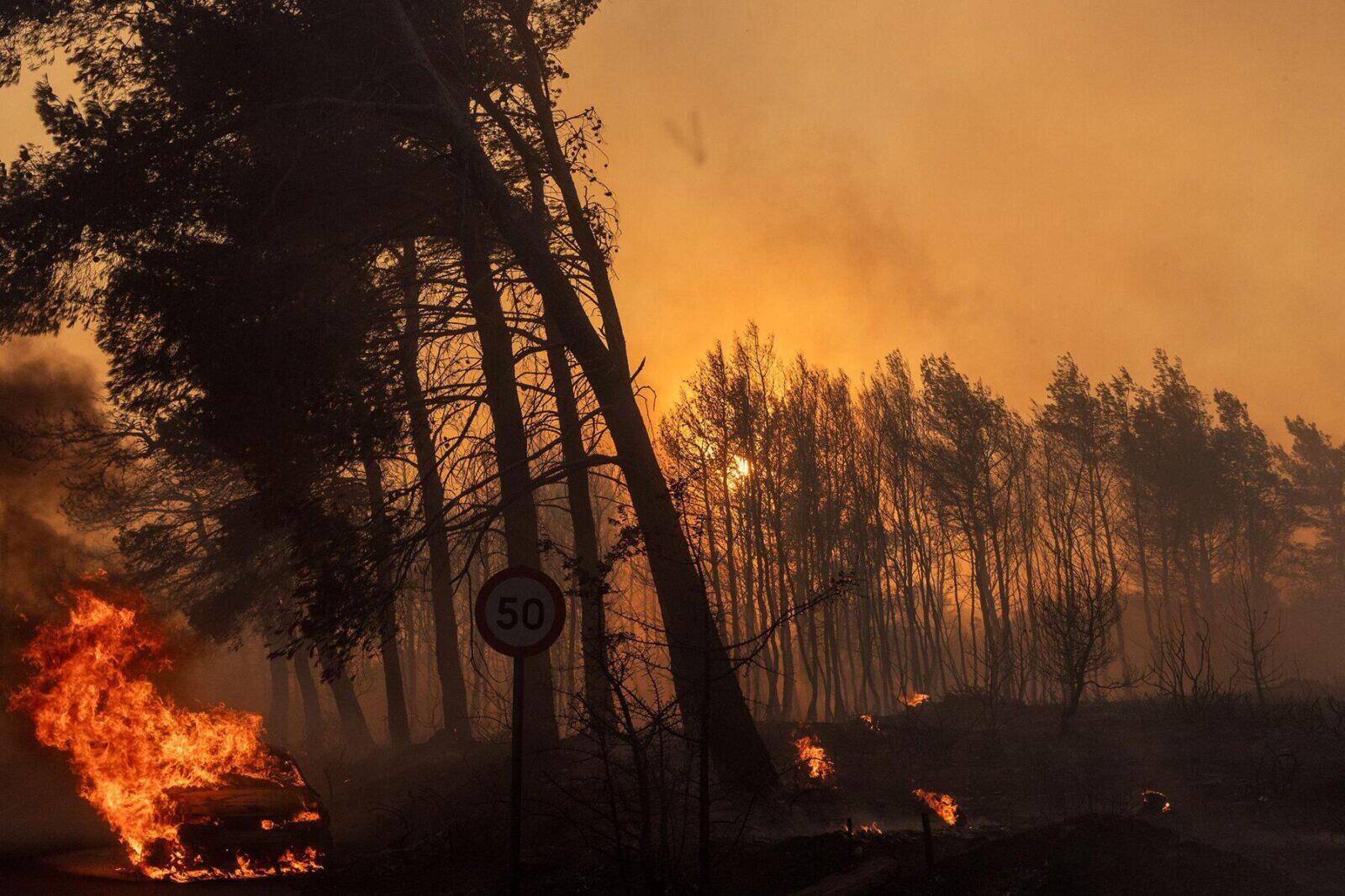 Athens Wildfires: Here's What You Need to Know if You're Traveling to ...