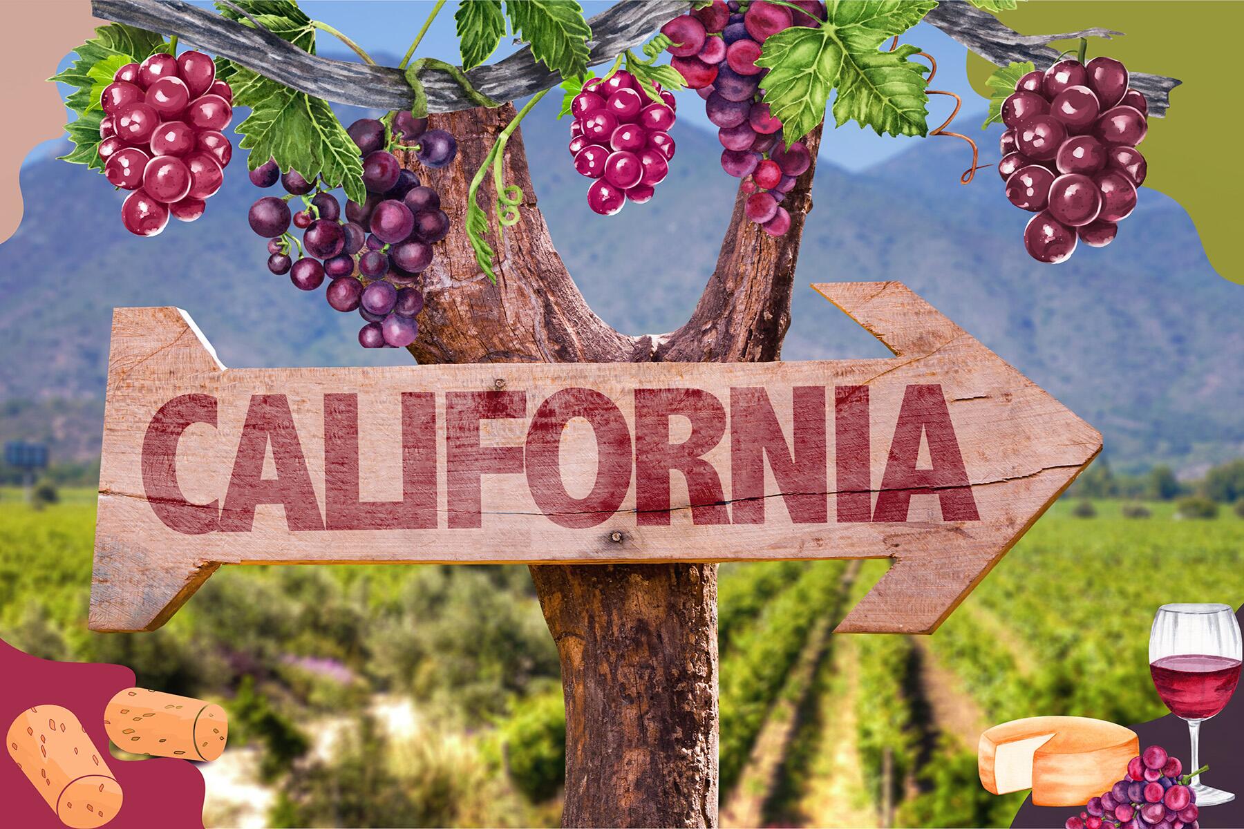 The Best Wineries and Tasting Rooms in California