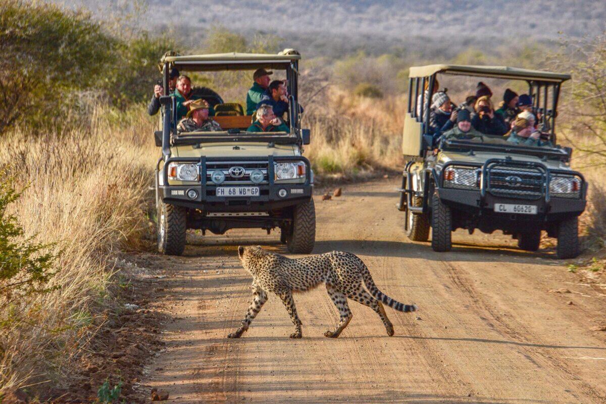 Important Questions to Ask Before Booking a Group Travel Tour