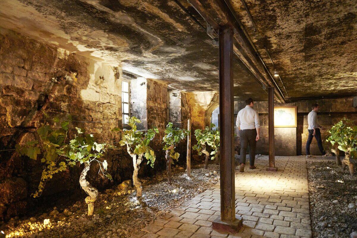 Discover France's Cognac Region: History, Culture, and Spirits