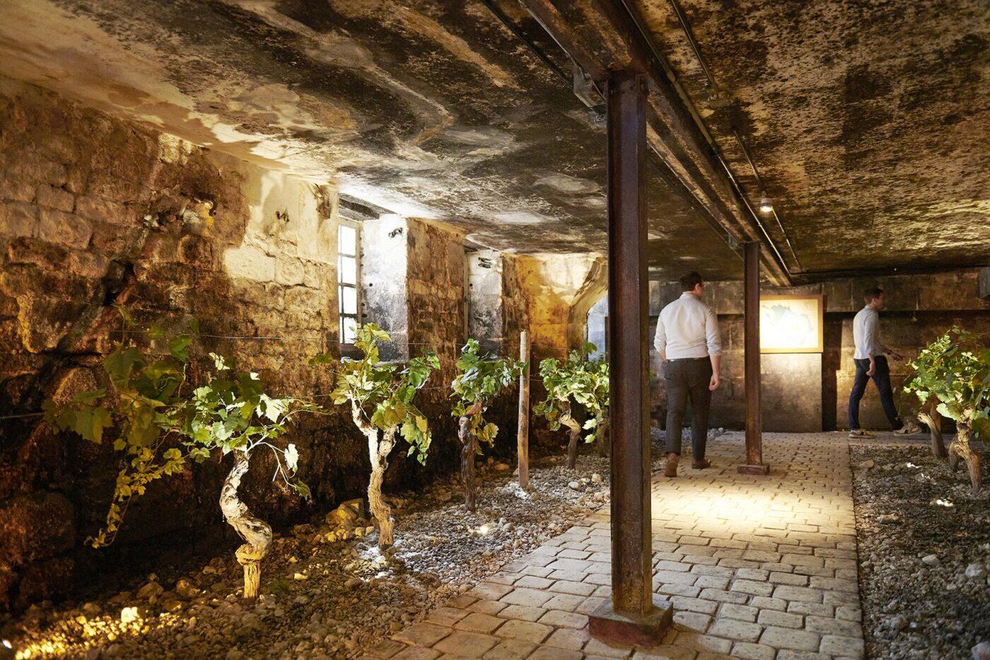 Discover France's Cognac Region: History, Culture, and Spirits