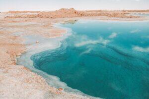 What Exactly Is an Oasis and How Do They Work?