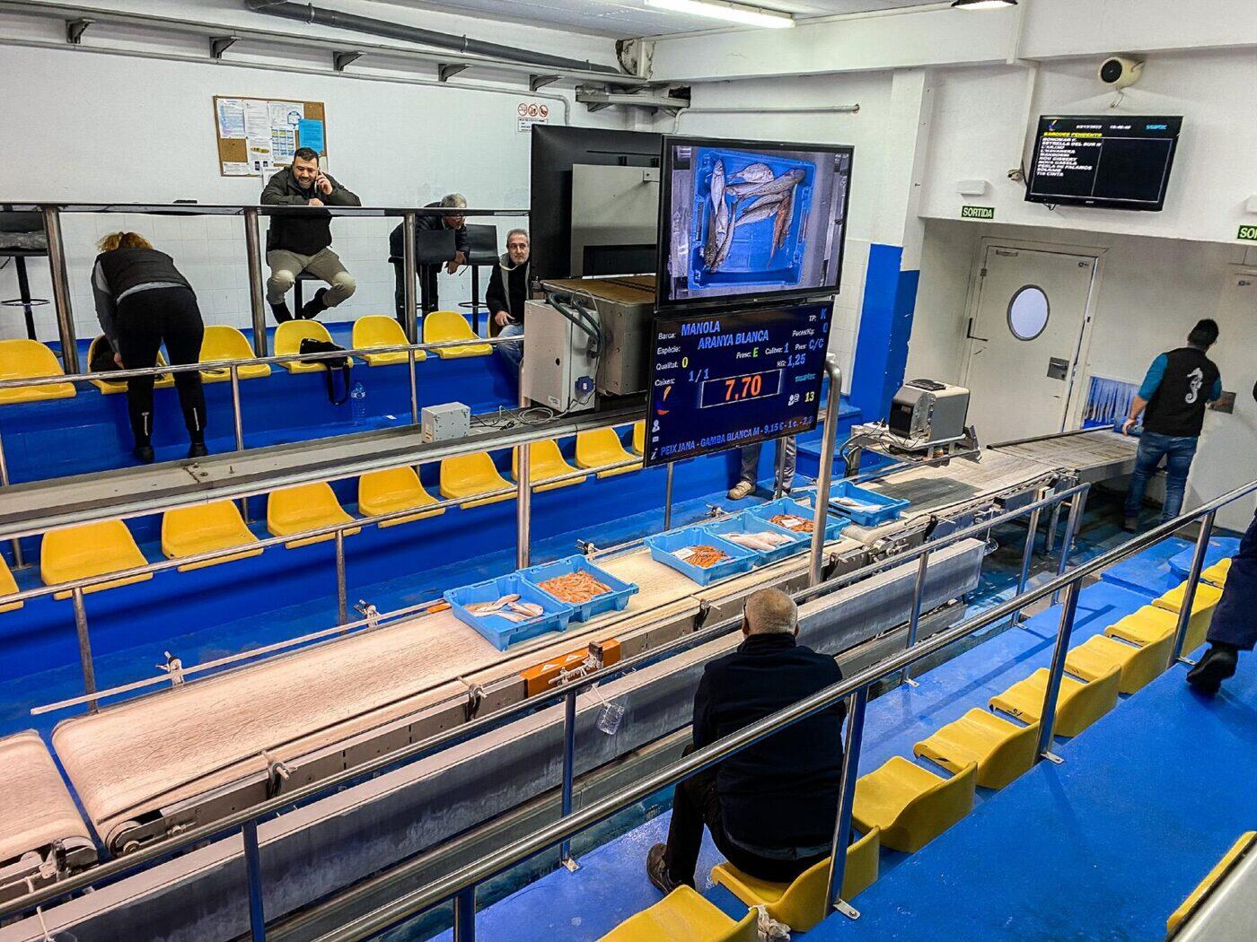 In Spain, a Strange Fish Auction Promises the World's Best Shrimp