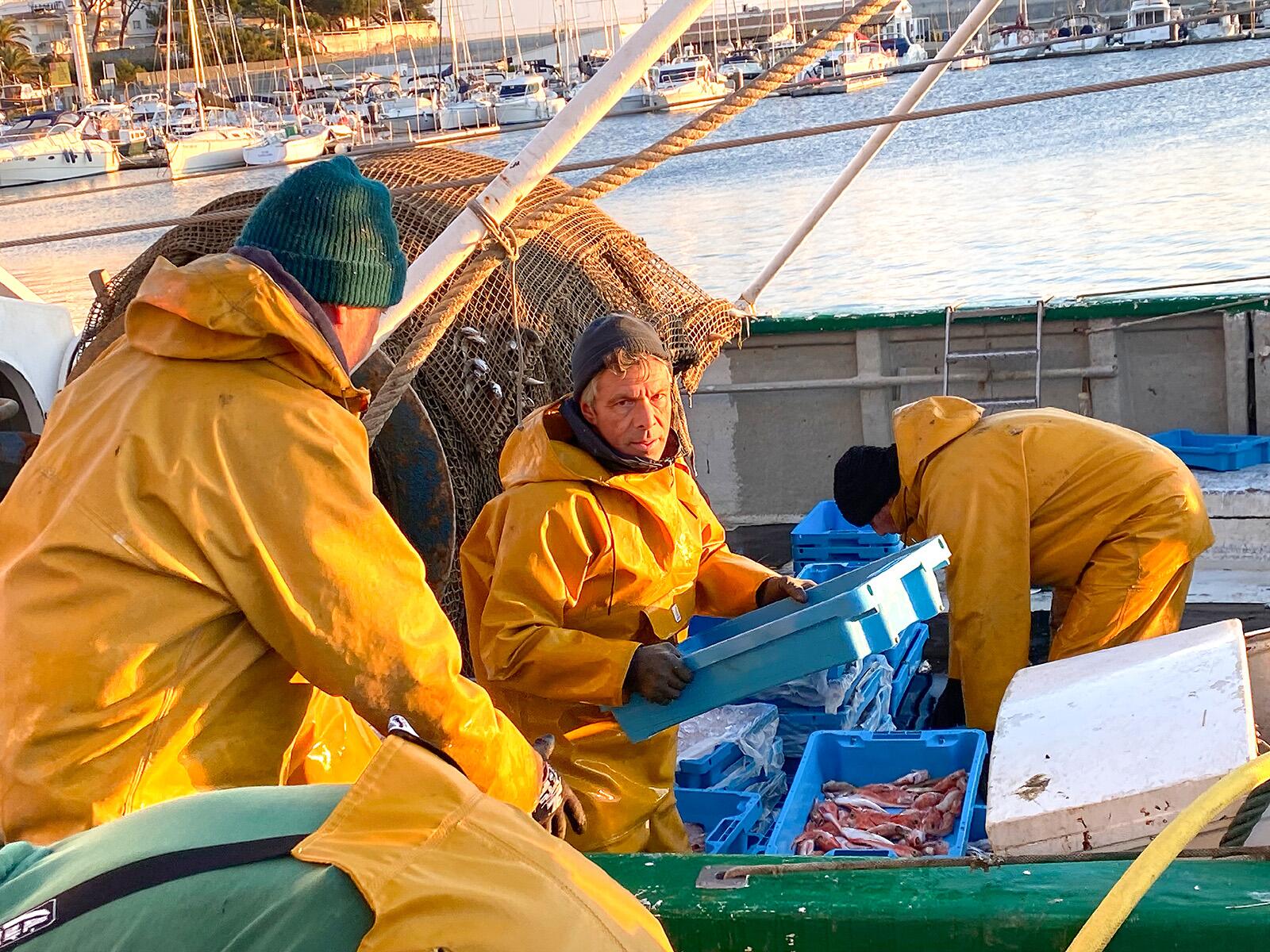 In Spain, a Strange Fish Auction Promises the World's Best Shrimp
