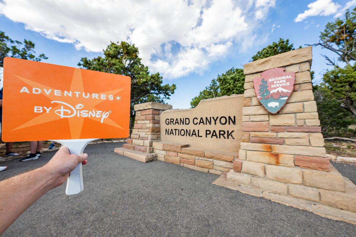 Insider's Guide to Visiting the Grand Canyon: Tips for Trails, Dining ...