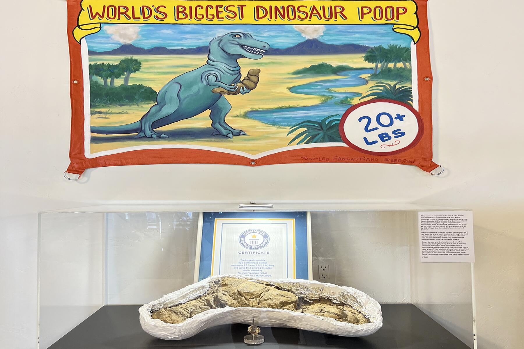 This Gateway to the Grand Canyon Is Home to a Poop Museum