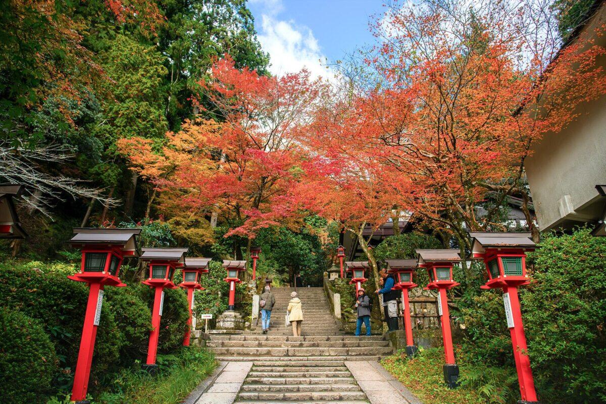 Family-Friendly Japan: A Guide to Authentic Experiences Beyond Tokyo ...