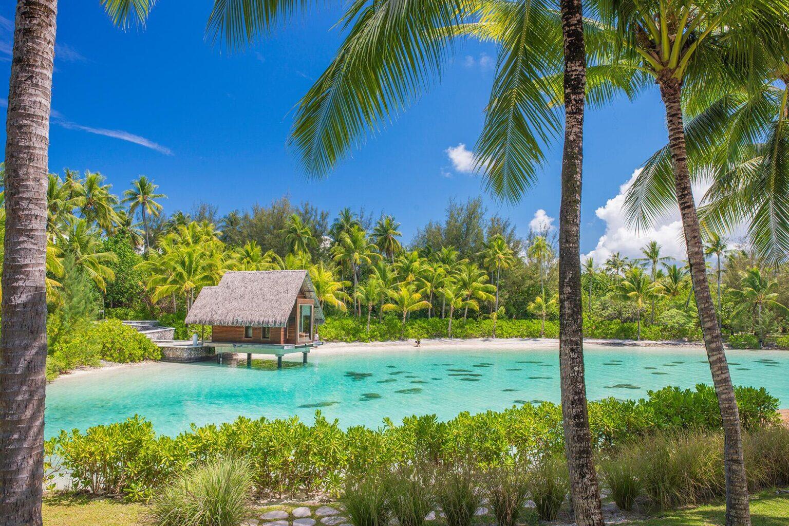 Exploring Marlon Brando's Private Island: The Brando Resort and Its Eco ...