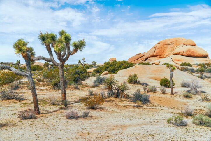 The Ultimate Route 66 Road Trip Itinerary: Where to Stop & What to See