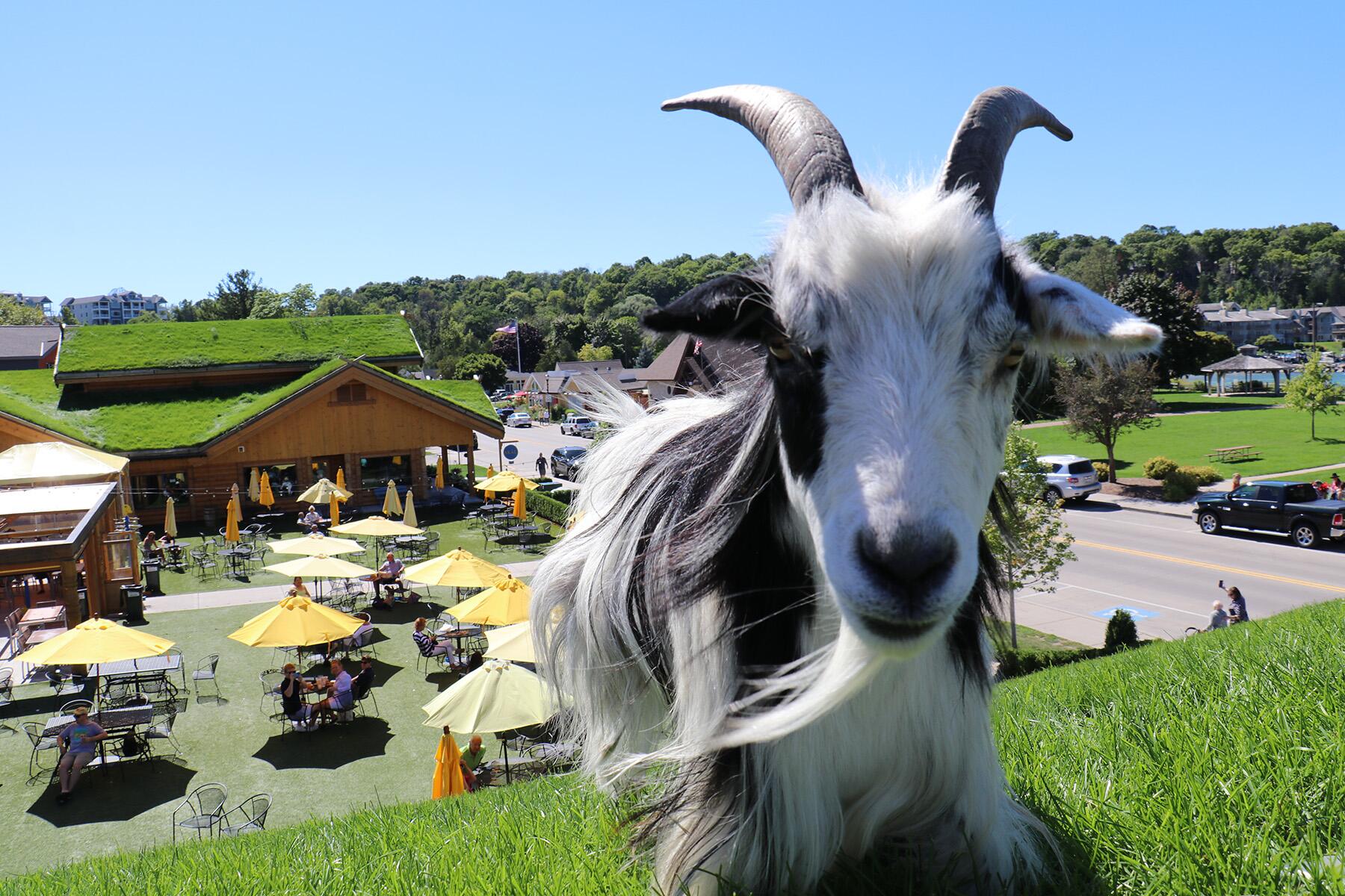 Most Colorful Small Towns in America