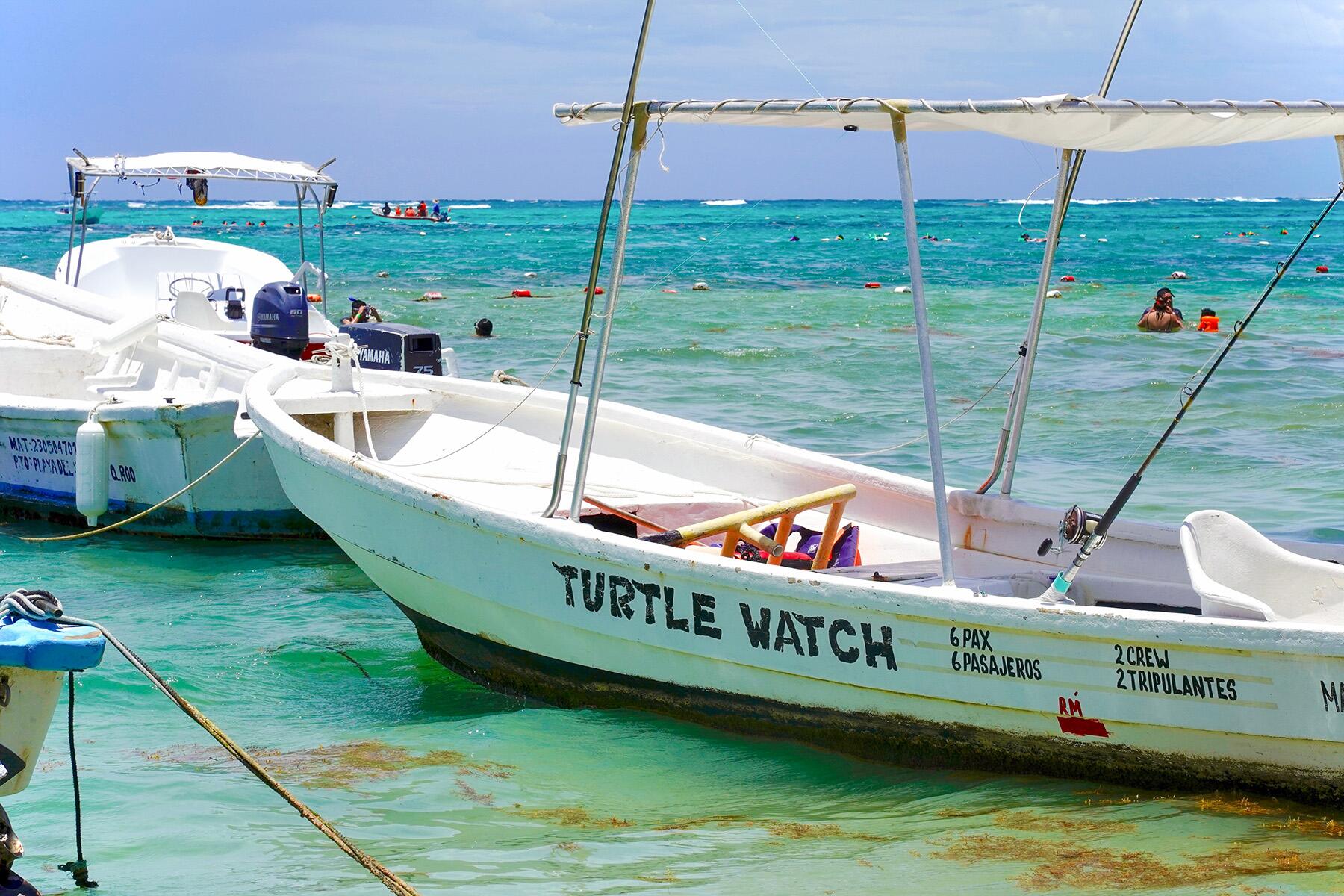 Best Things to Do in Cancun (and Top Things to Avoid)