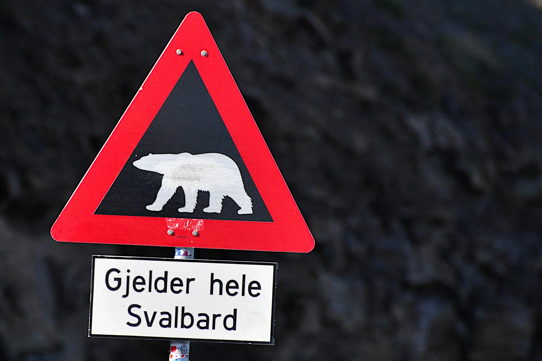 You Don't Need a Visa to Live and Work in Svalbard, Norway