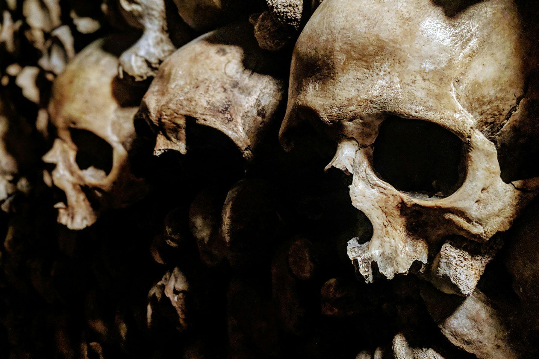 Tourist Mails Skull to Vienna Cathedral