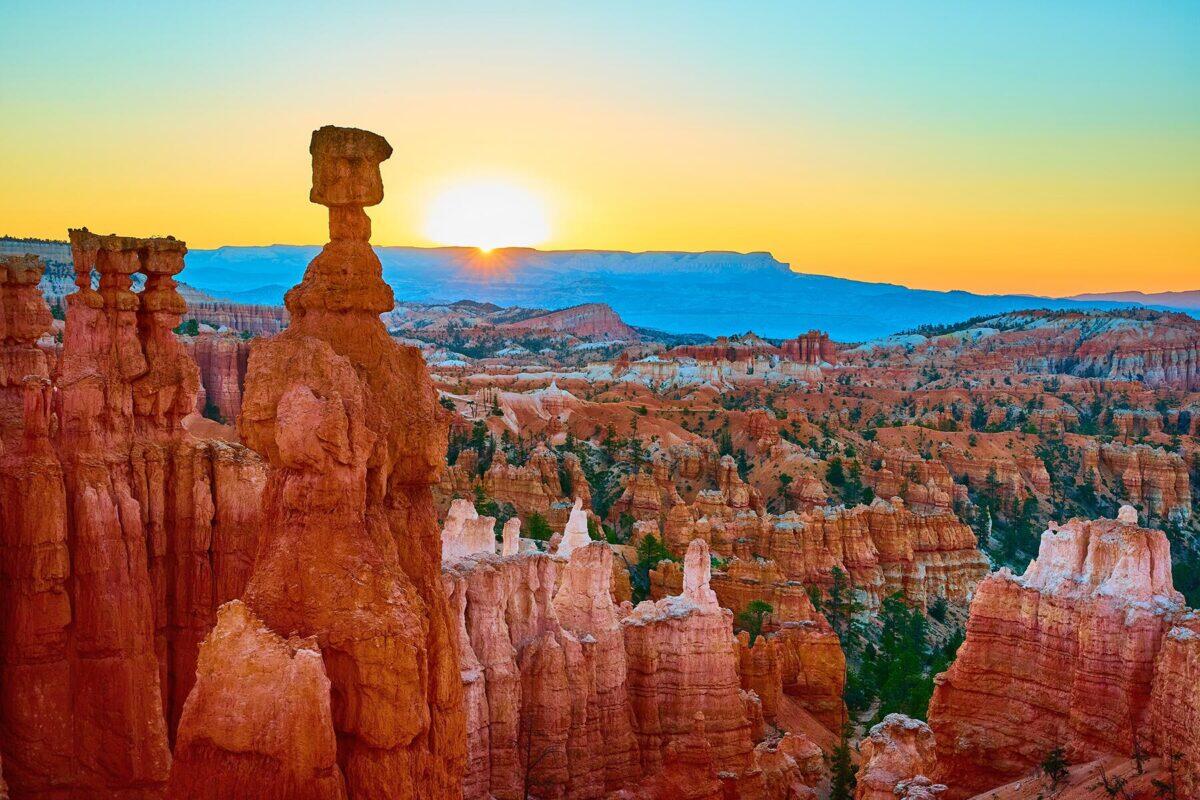 Trump's National Park ‘Snitch Signs’ Backfired Spectacularly